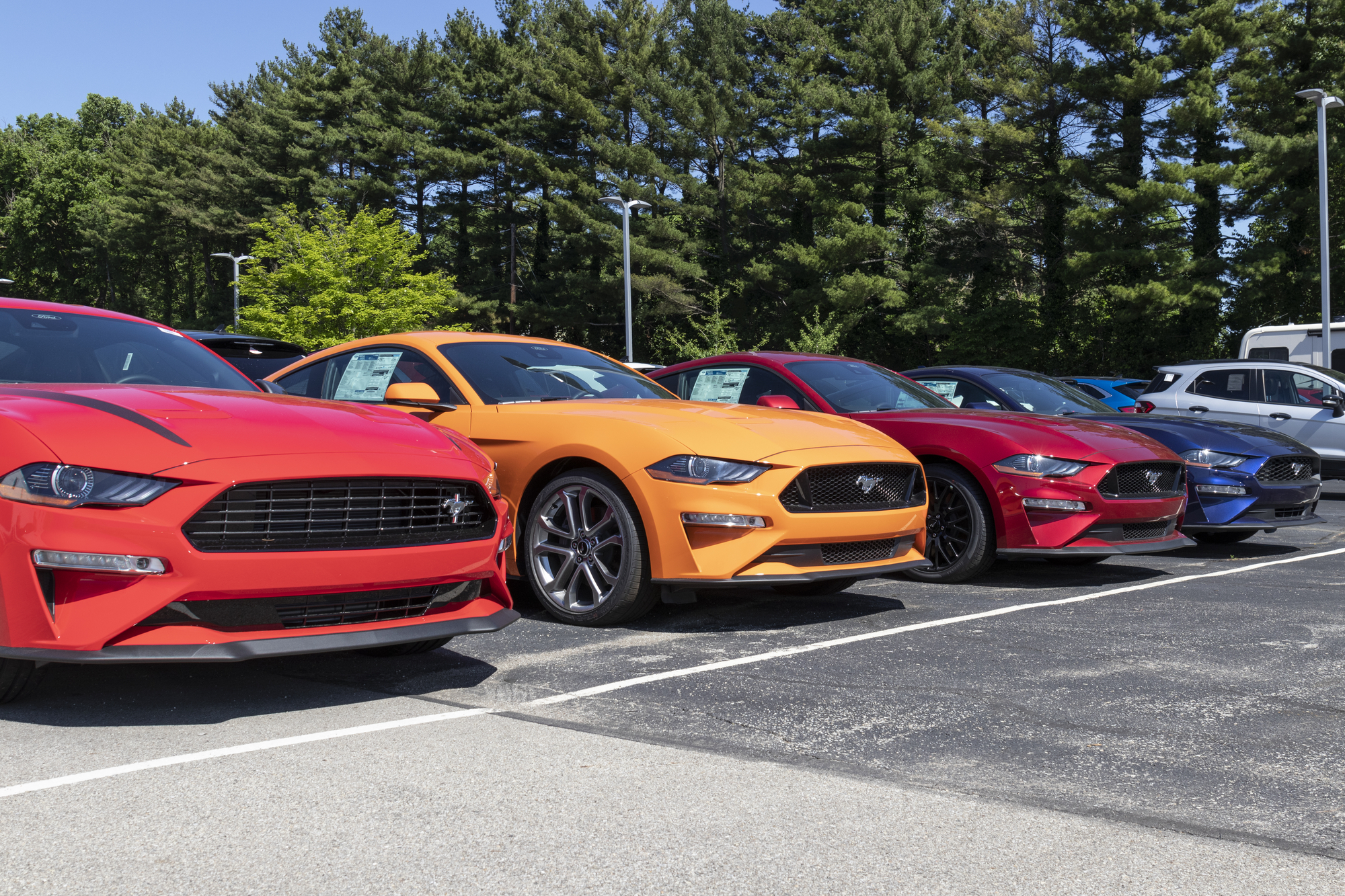 Meet the Top 8 High Horsepower Muscle Cars - My Car Makes Noise