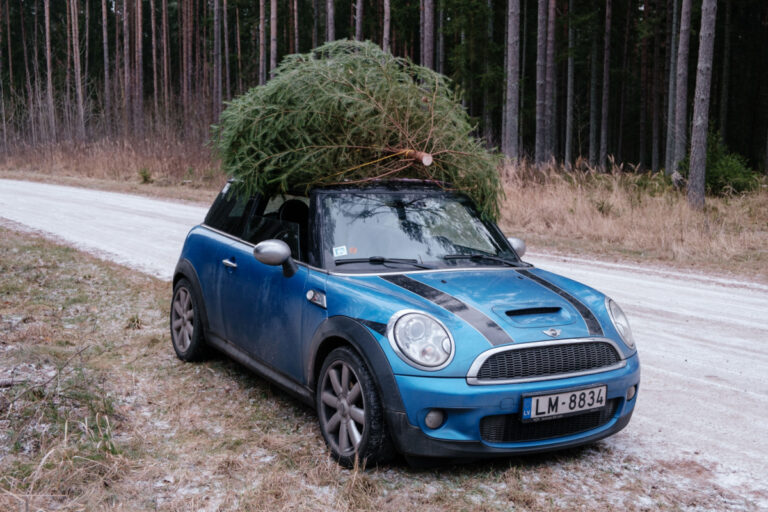 Exploring the Top 25 Cars That Defined the 2000s - My Car Makes Noise