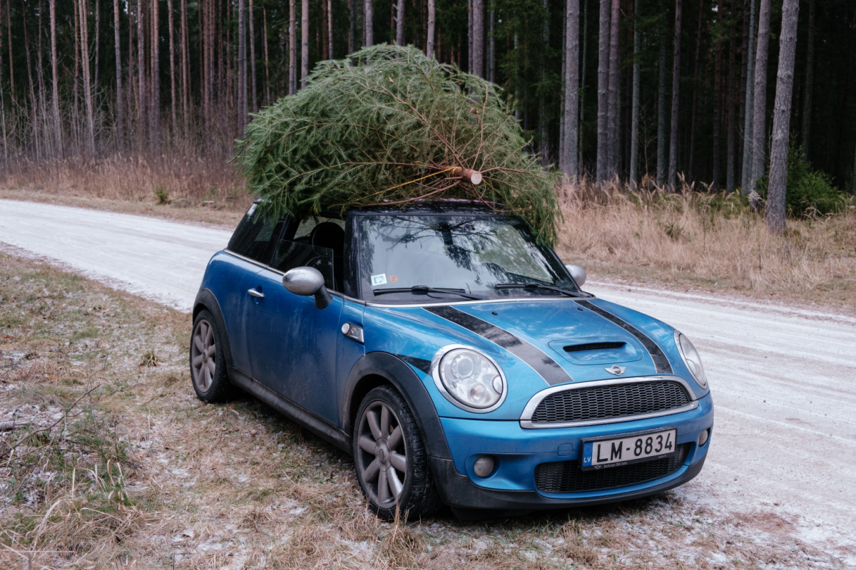 Exploring the Top 25 Cars That Defined the 2000s - My Car Makes Noise