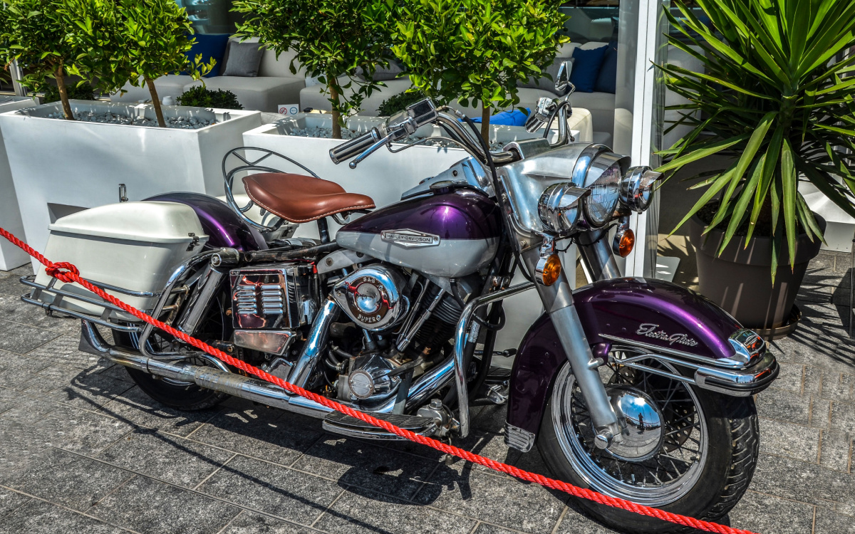 The 11 Greatest Motorcycles from Harley-Davidson - My Car Makes Noise