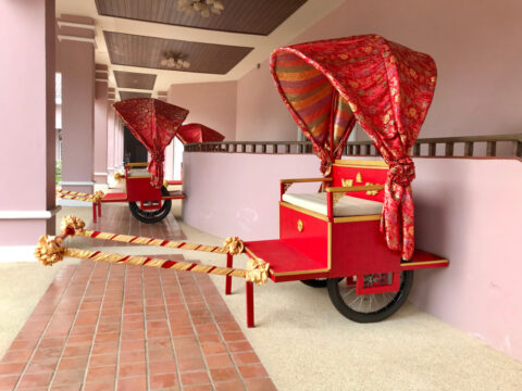 21 Unique Facts About Rickshaws That Will Surprise You - My Car Makes Noise
