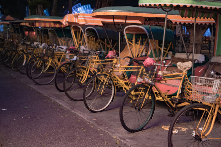 21 Unique Facts About Rickshaws That Will Surprise You - My Car Makes Noise