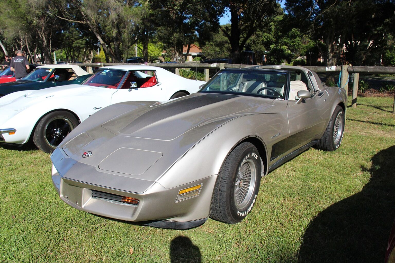 20 Classic Corvettes You’ll Wish Were in Your Garage - My Car Makes Noise