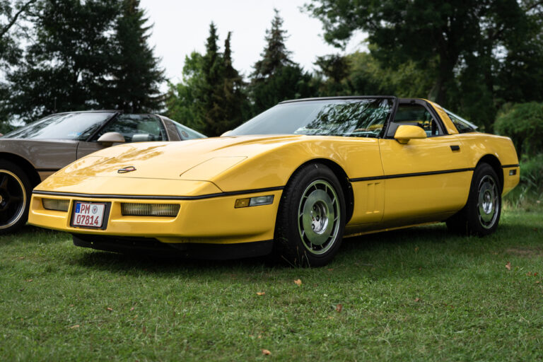 13 Surprising Facts About Corvettes You Didn’t Know - My Car Makes Noise