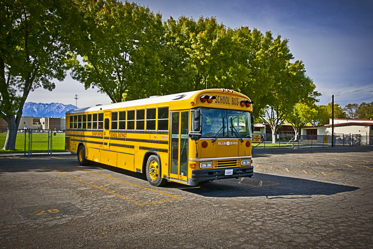 20 Groundbreaking Buses That Transformed Public Transportation - My Car ...