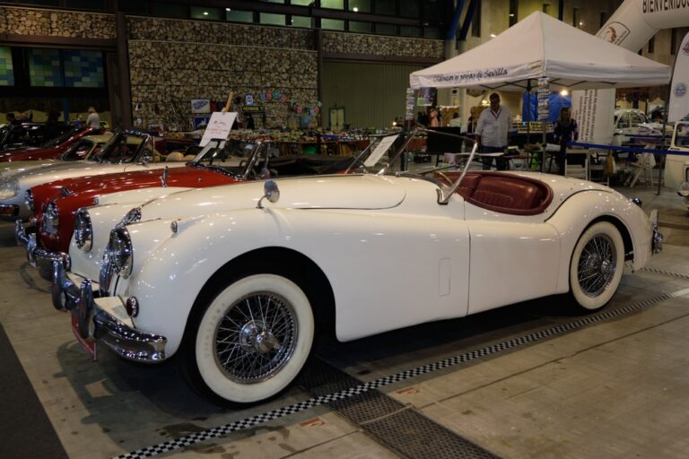 The Top 25 Vintage Roadsters Known for Elegance and Speed - My Car ...