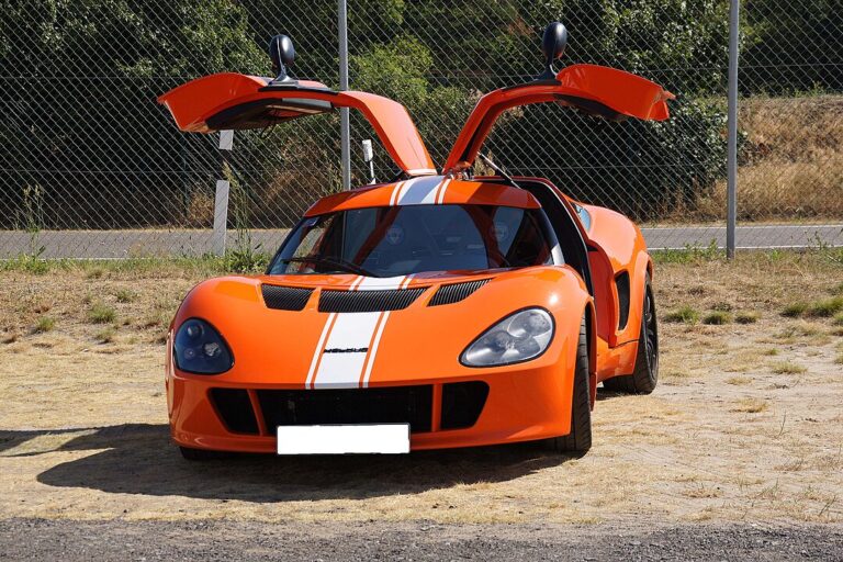 20 Lesser-Known Supercars You've Never Heard Of - My Car Makes Noise